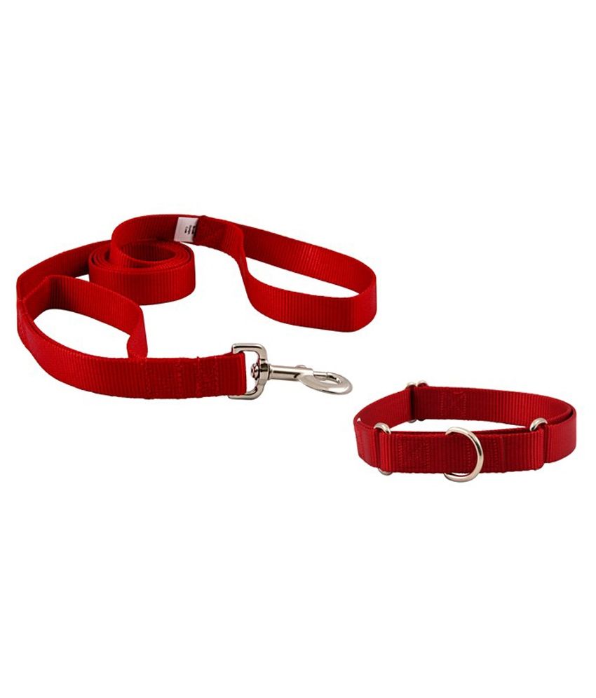 Pawzone Red Leash with Collar Set for Dogs - Large: Buy Pawzone Red ...