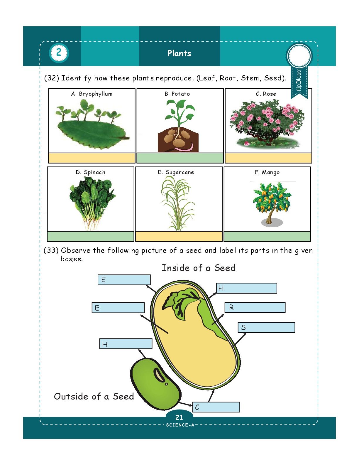 Science Worksheets K5 Learning 5 Science 5 Worksheet Tanner Gambo