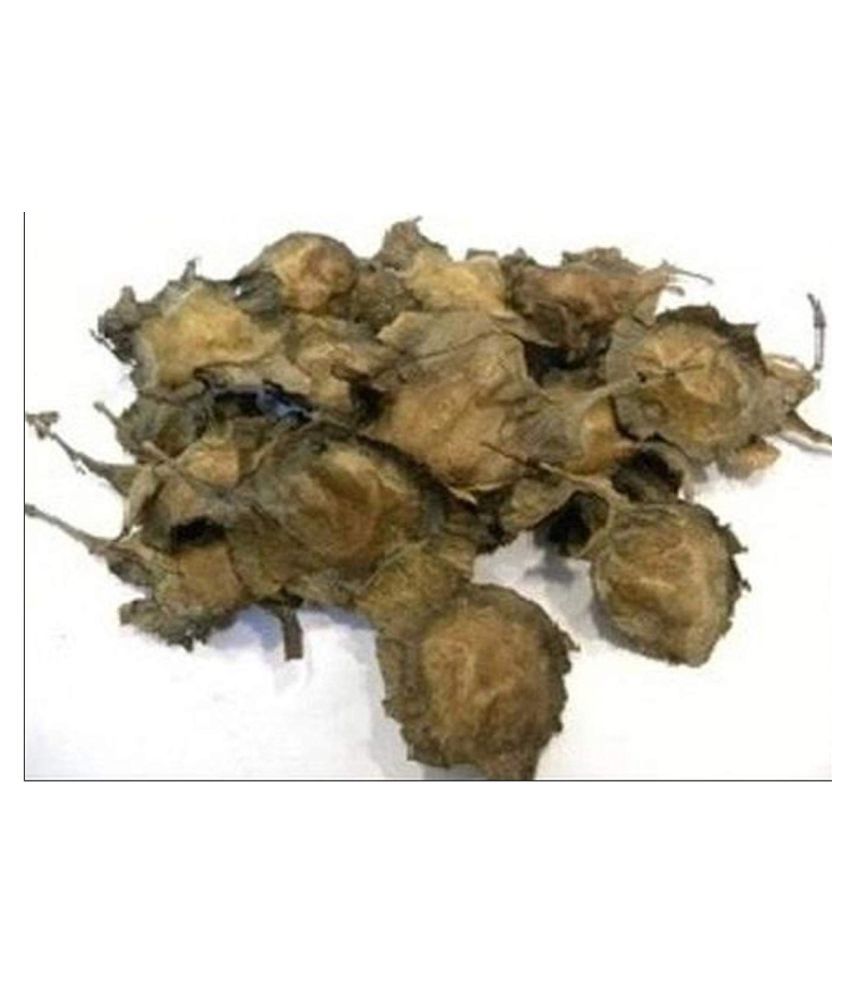 Green India Red Sandal Wood Seeds - Lal Chandan-Pterocarpus Santalinus ...